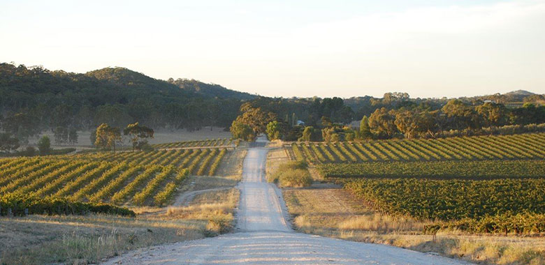 The Best Clare Valley Wineries and Cellar Doors - Wine Selectors