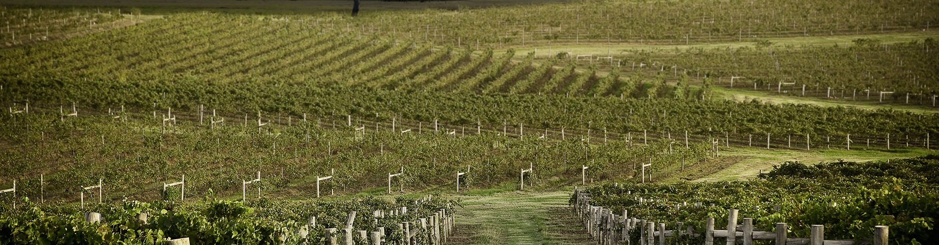 Meet Our Tasting Panel - Wine Selectors